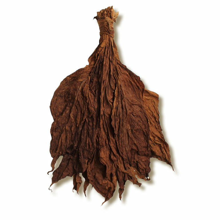 What is Grabba Leaf? - Grabba Tobacco Information - Total Leaf Supply