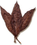 Light & Dark Fire Cured Tobacco Leaves | Total Leaf Supply